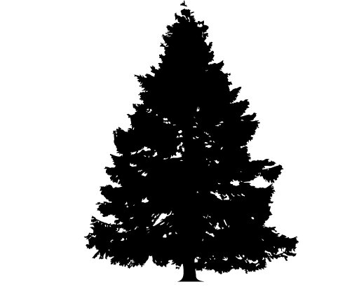 Grosses Lexikon der Schweizer Holzarten - Schweizer Holz