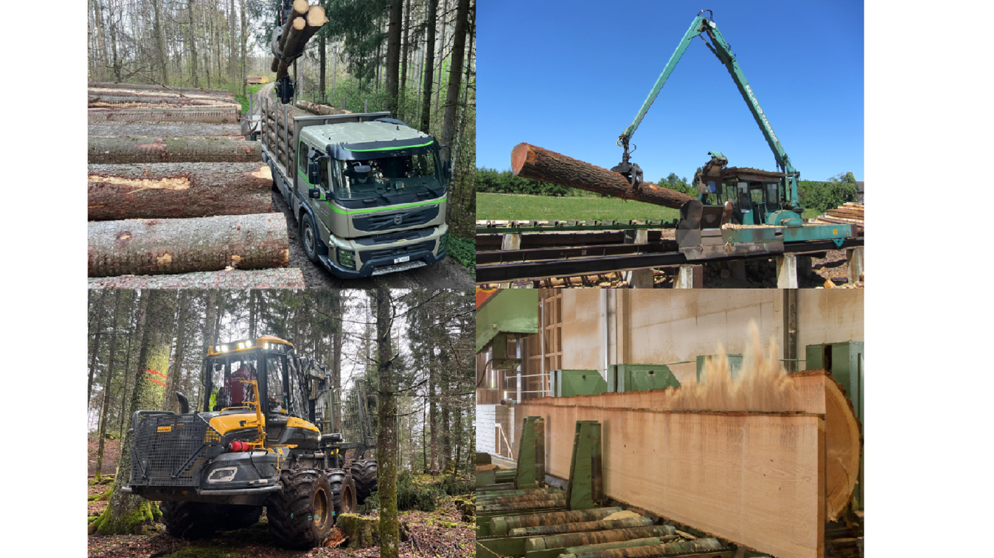 Wilchingen - Schweizer Holz