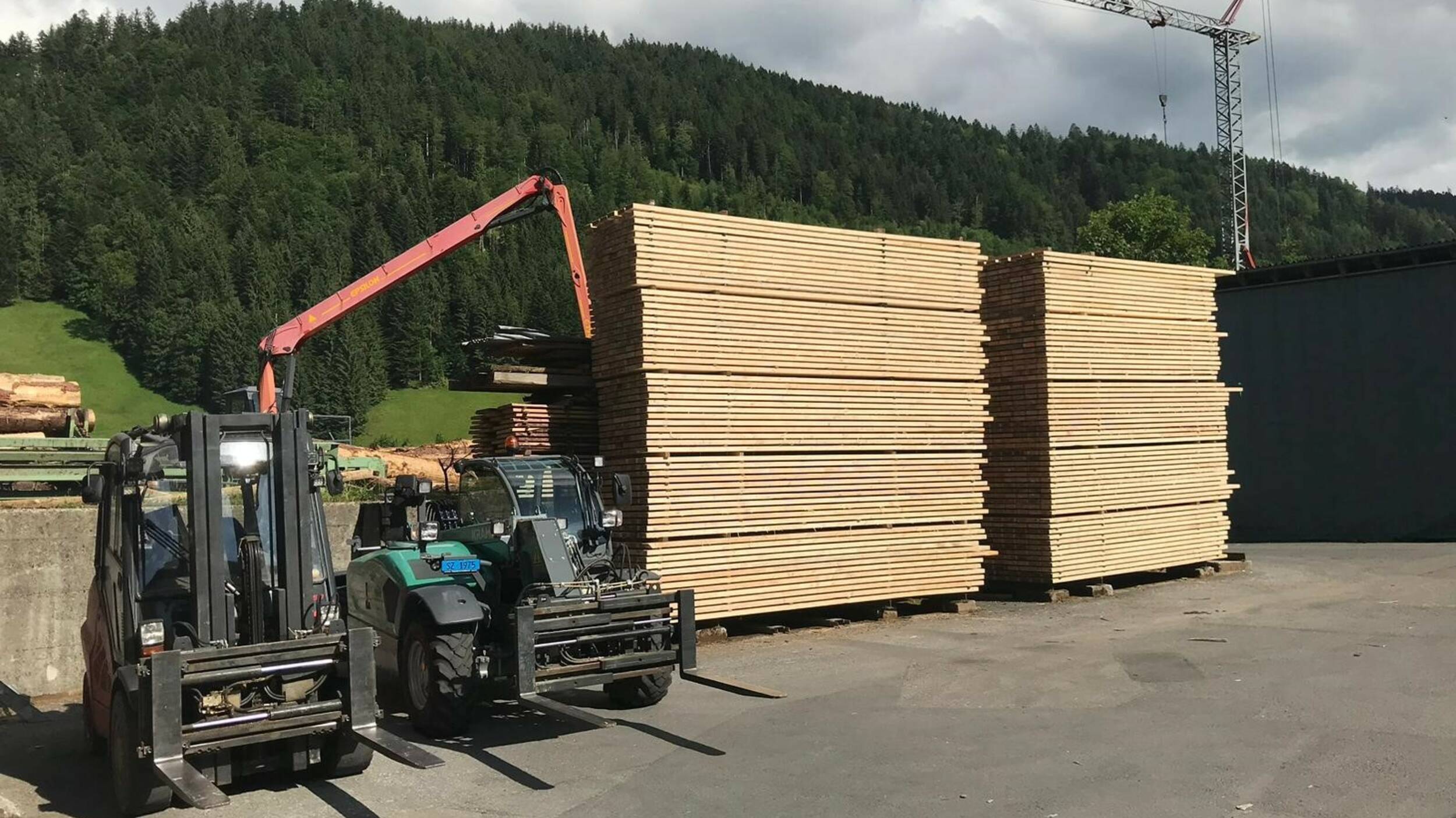 Steiner Holz AG - Bois Suisse